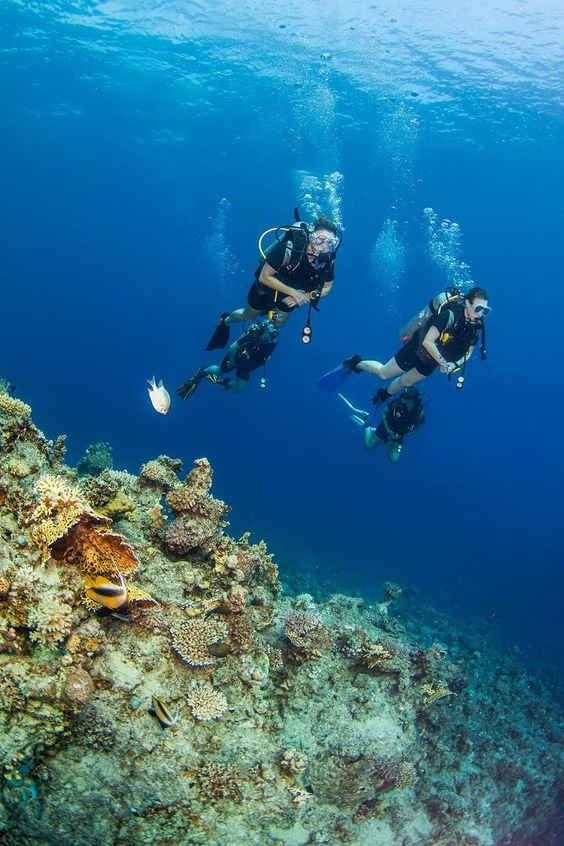 Schnorchelausflug mit Übernachtung am Sataya Dolphin Reef ab Marsa Alam