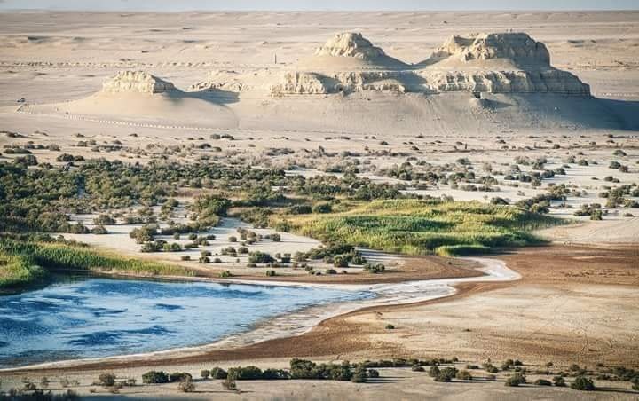 d'une journée à l'oasis de fayoum depuis le caire | visites au fayoum ...